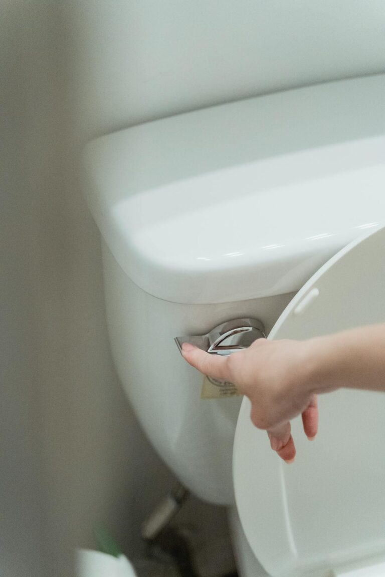 Different Types of Toilet Cisterns for Every Bathroom Style - Toscano ...