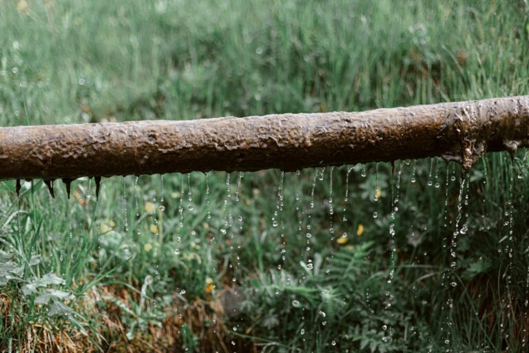 Top Causes of Sewer Overflows and How to Prevent Them - Toscano Plumbing
